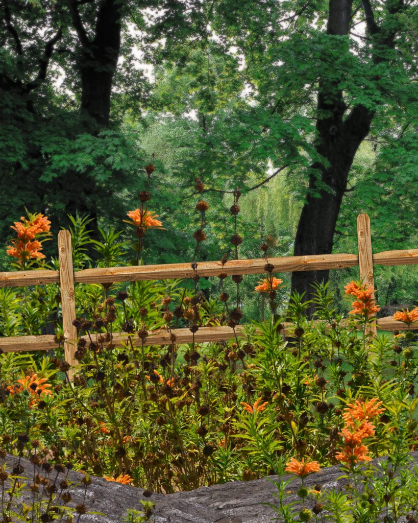 Fun Day - Kaiser Studio