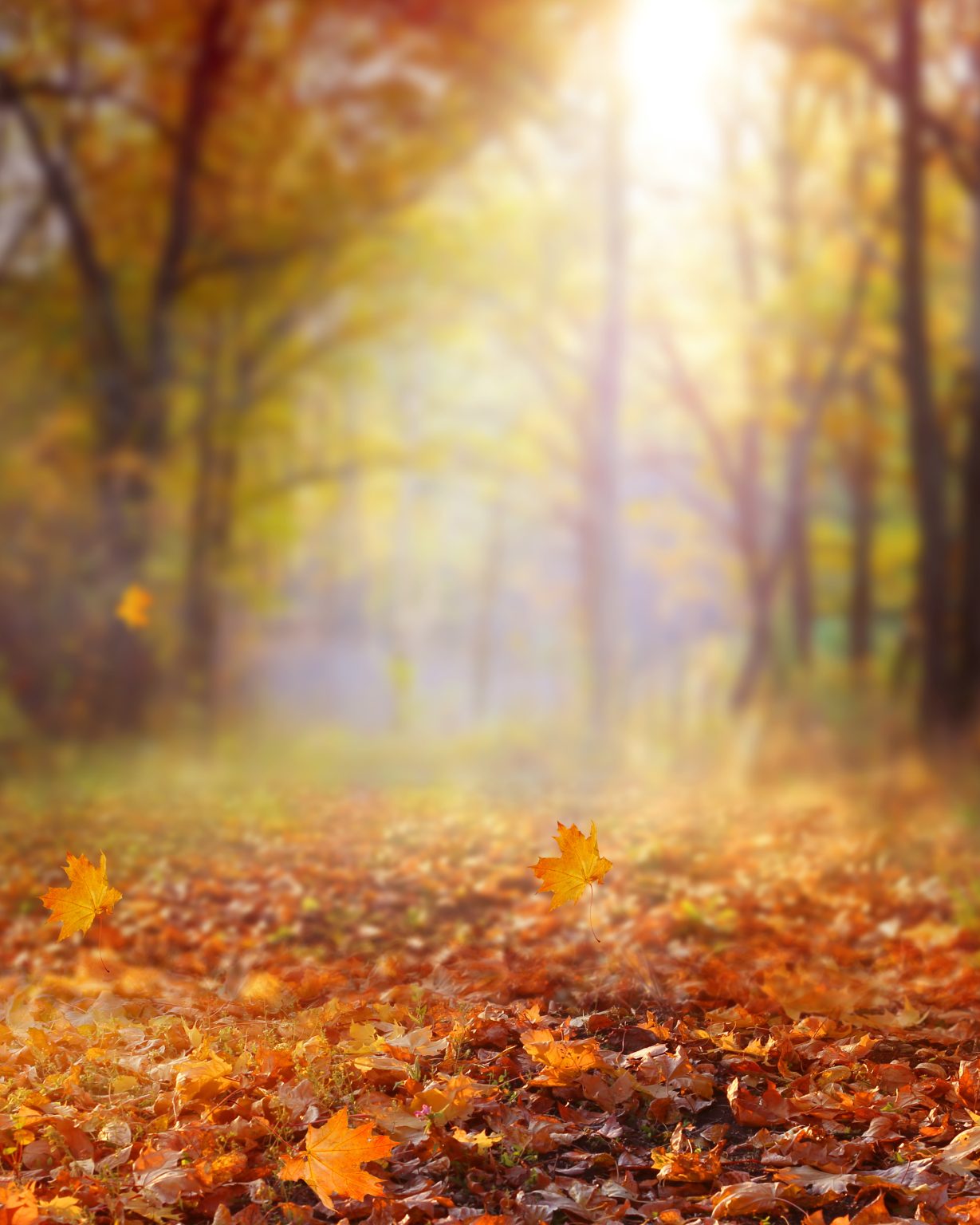 Fun Day - Kaiser Studio