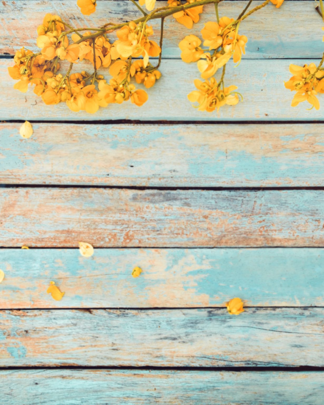 Fun Day - Kaiser Studio